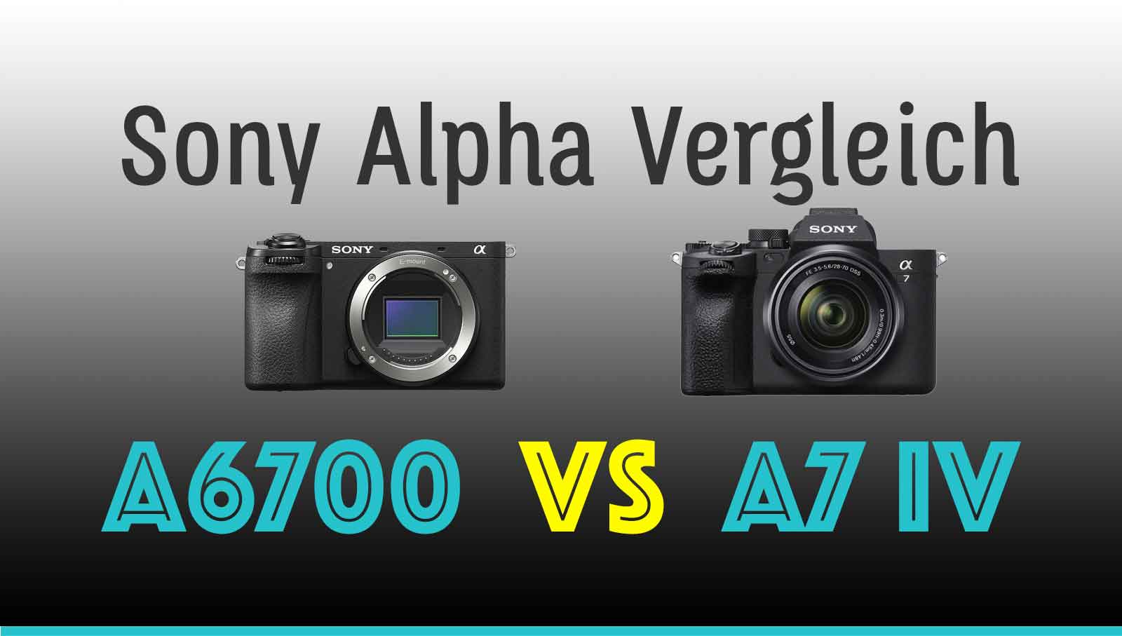 Sony Alpha 6700 oder A7 IV – Welche Kamera ist die beste Wahl für Dich? - Alpha-Magic Fotografie